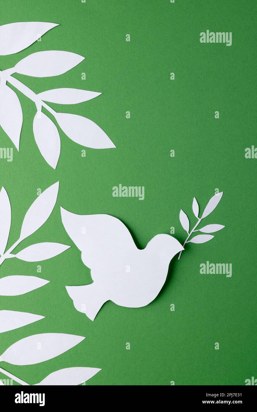 Close up dove on hi-res stock photography and images - Alamy