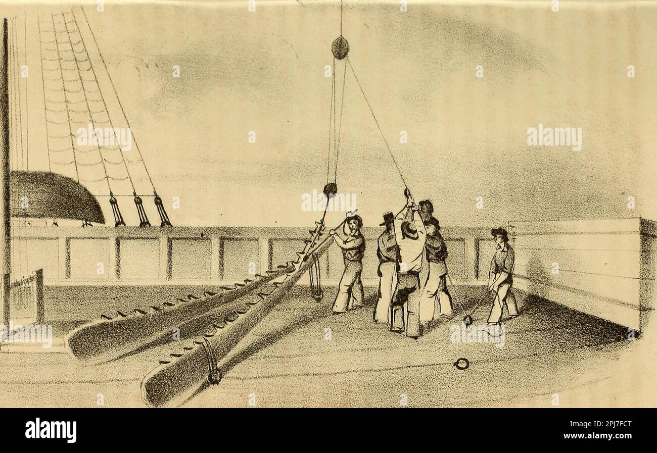 Sailors rowing boat hi-res stock photography and images - Alamy