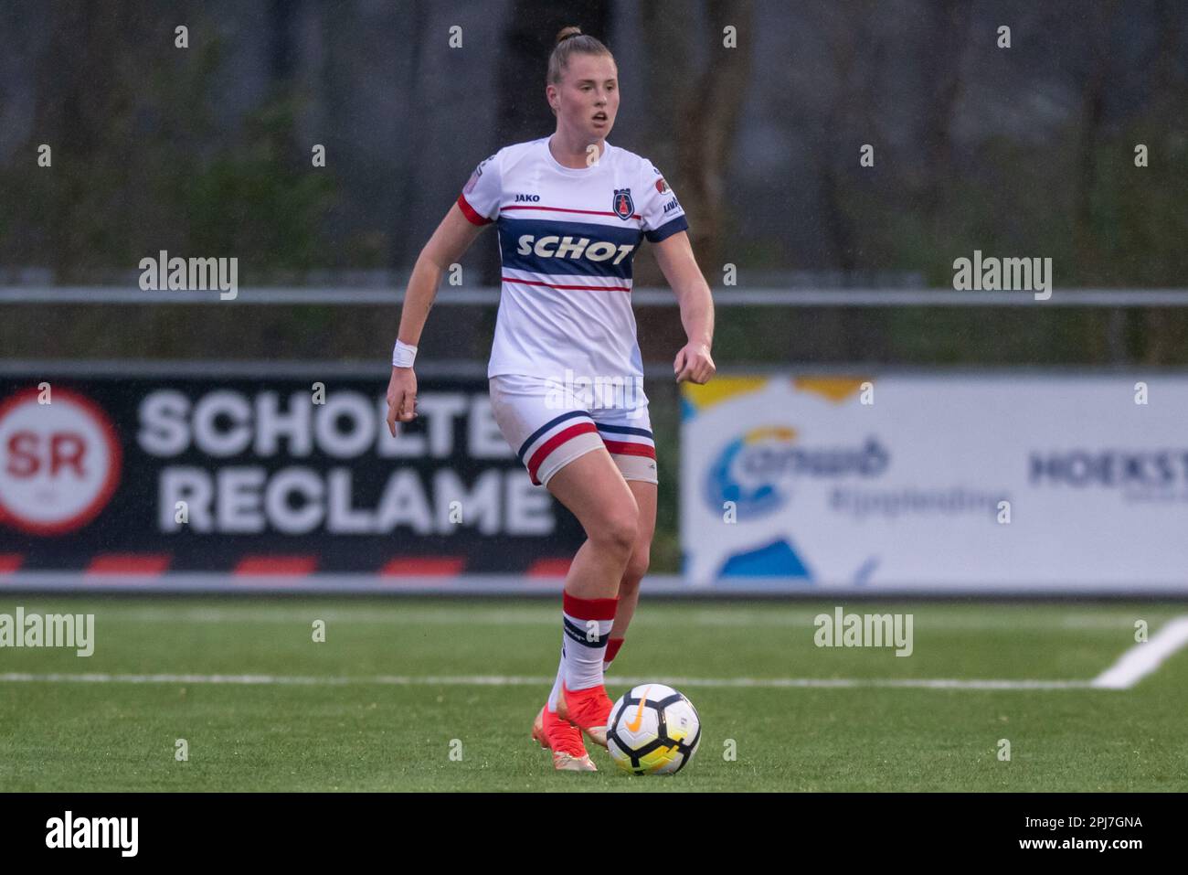 Robin blom hi-res stock photography and images - Alamy