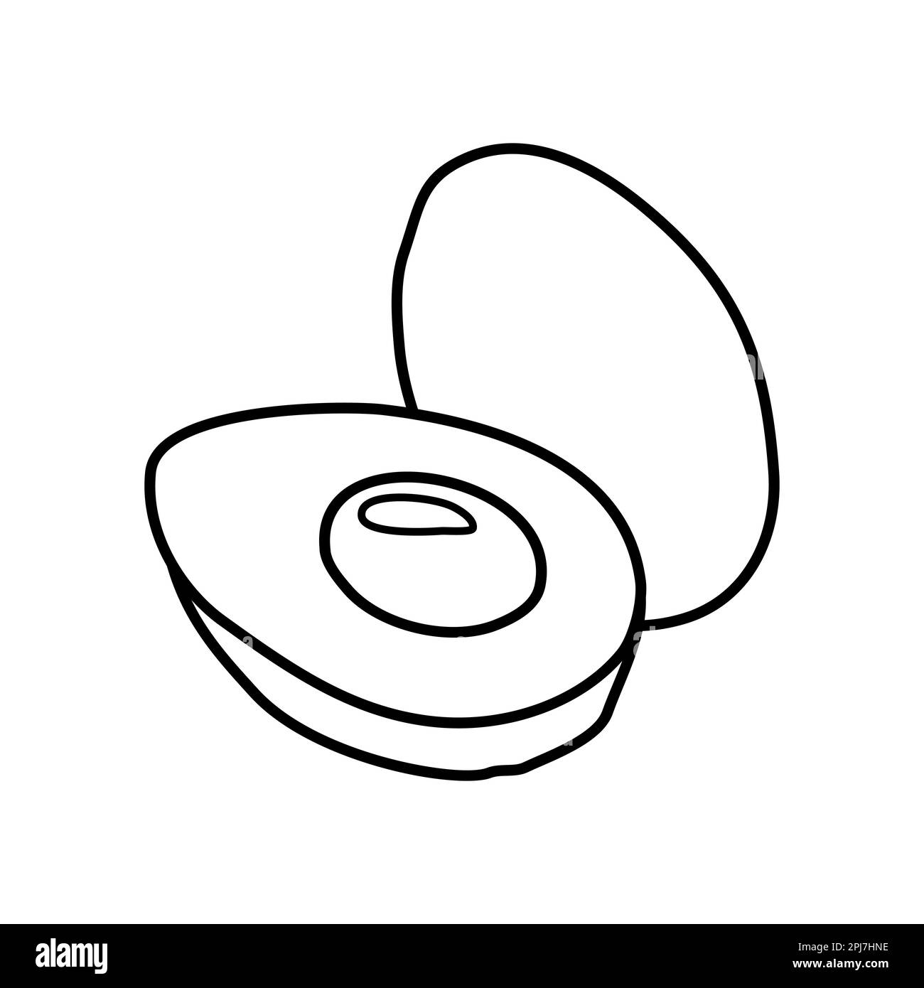 Whole and cut avocado icon, doodle style flat vector outline ...