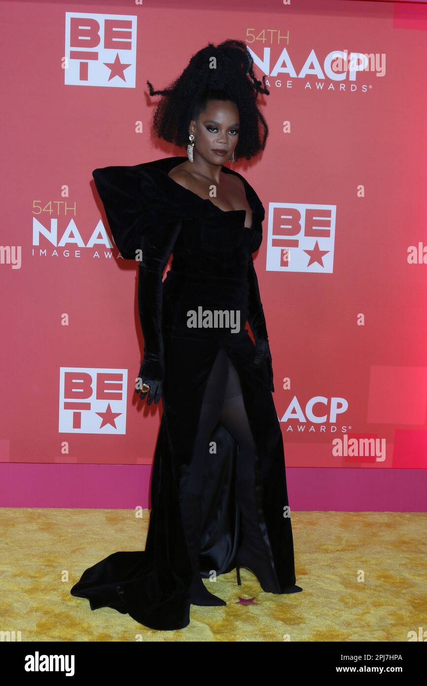 NAACP Image Awards Arrivals at the Pasadena Civic Auditorium on ...