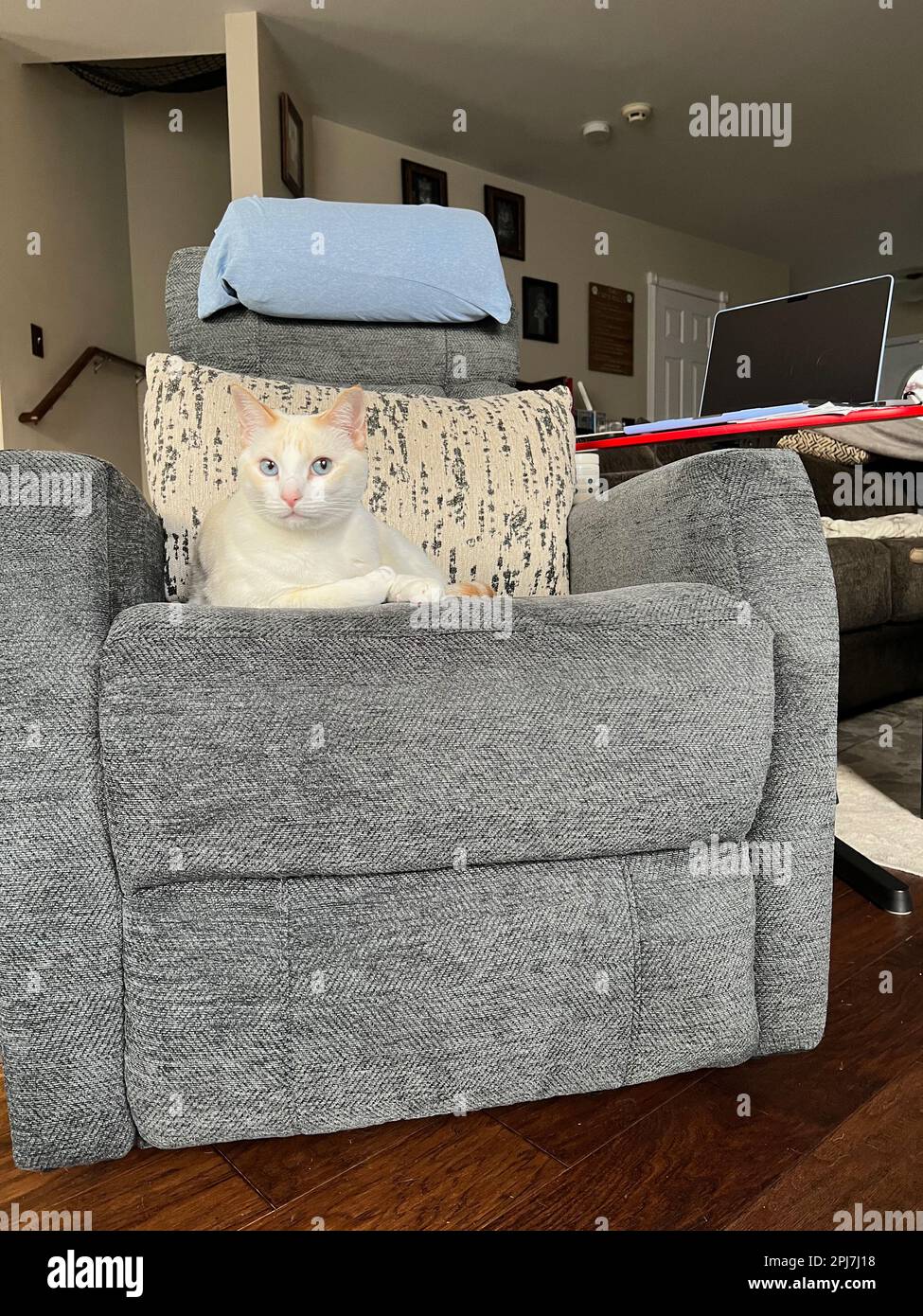 Mitzie hi-res stock photography and images - Alamy