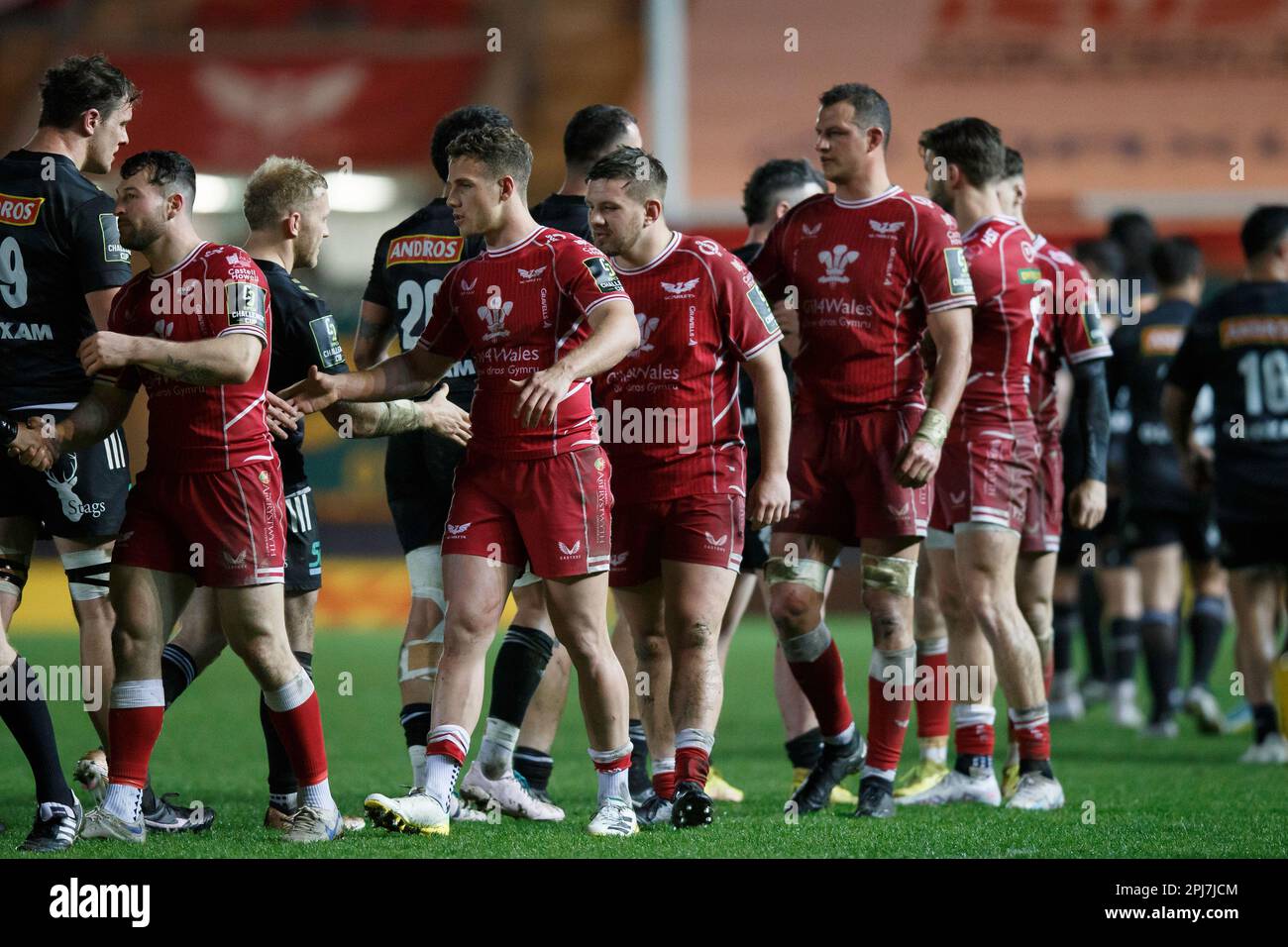 Llanelli, UK. 31 March, 2023. Players shake hands at the end of the ...