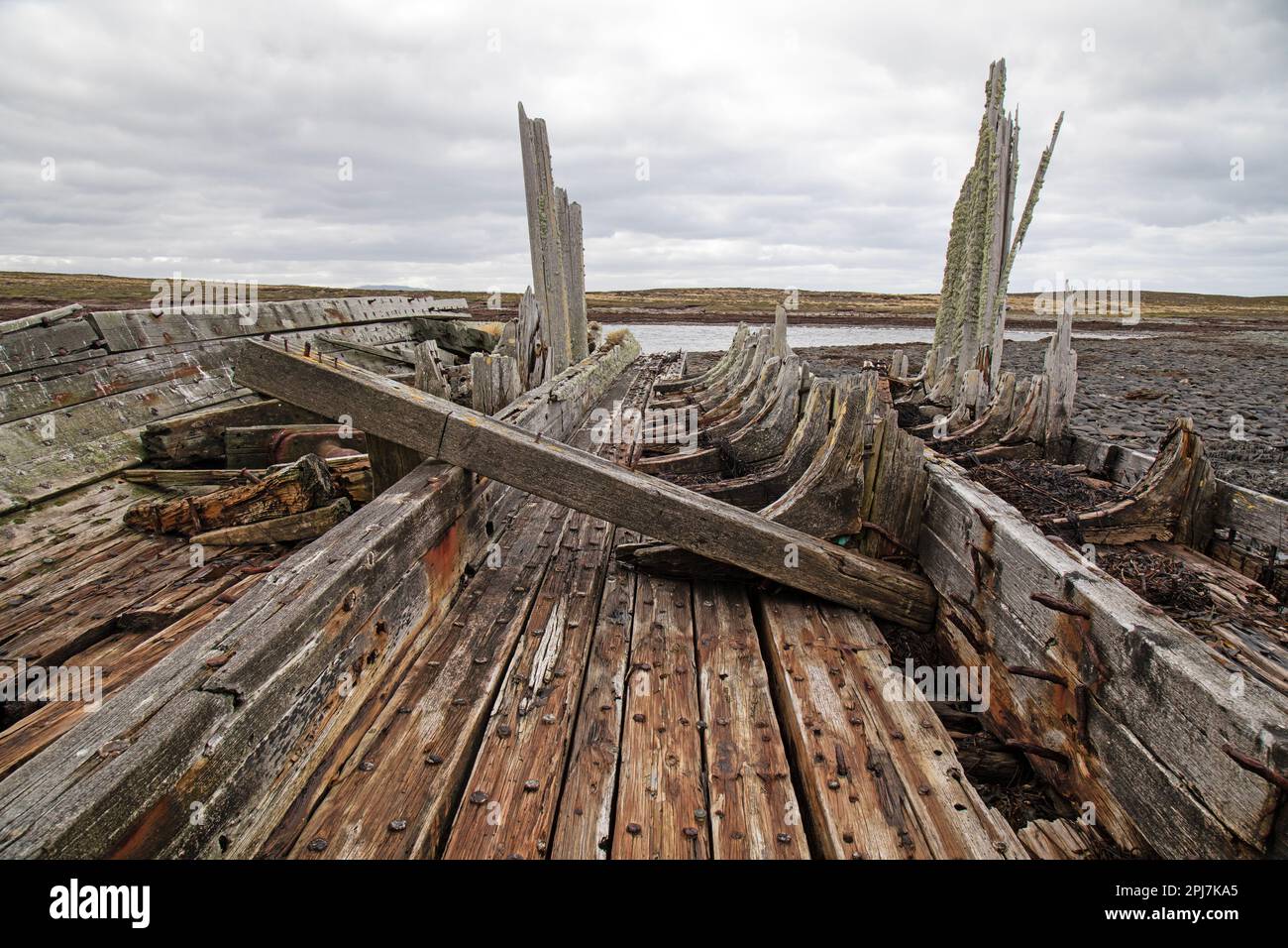 Whale pont hi-res stock photography and images - Alamy