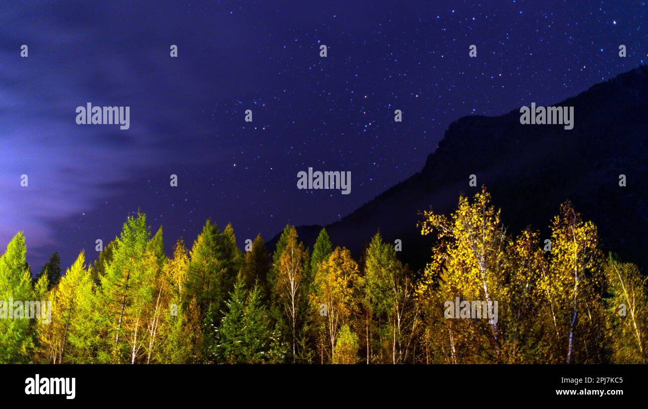 Autumn birch trees in the mountains at night under the stars and clouds ...