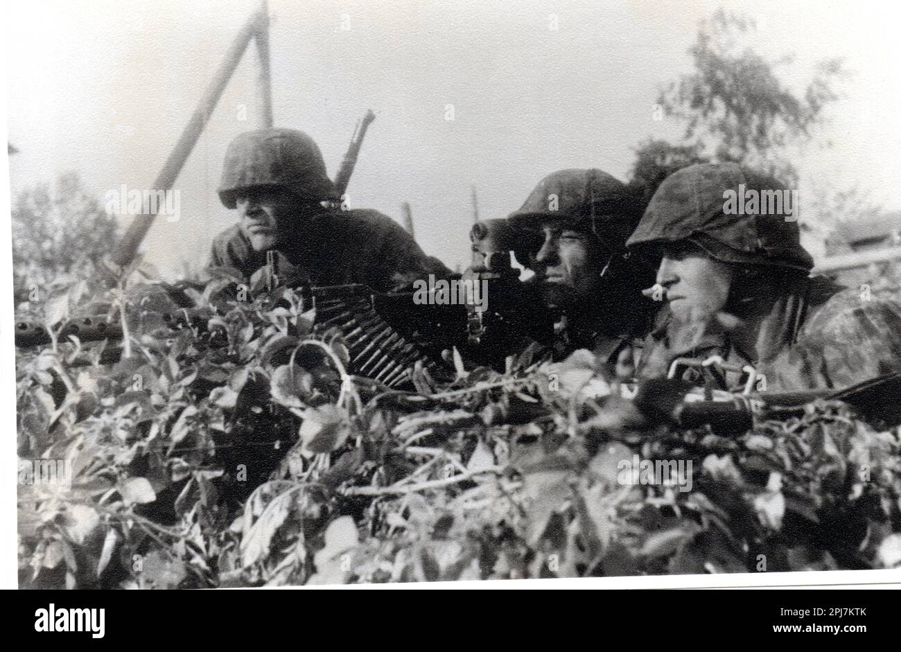 Waffen in position hi-res stock photography and images - Alamy