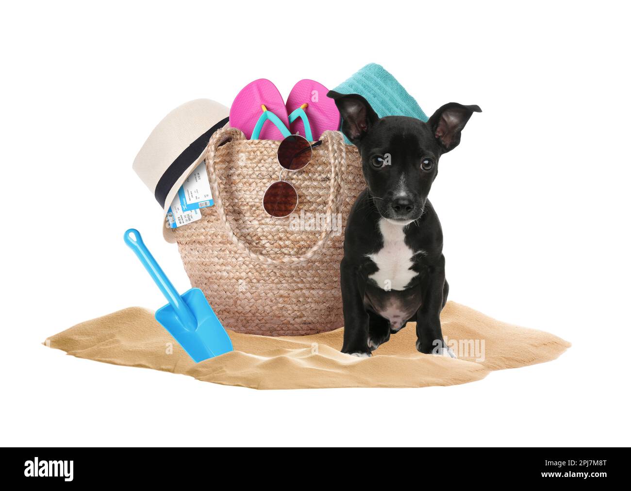 Cute puppy and summer vacation items on sand against white background ...