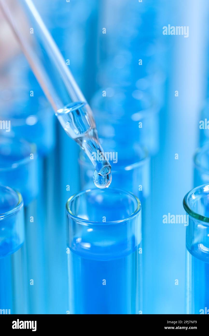 Dripping reagent into test tube with blue liquid, closeup. Laboratory ...