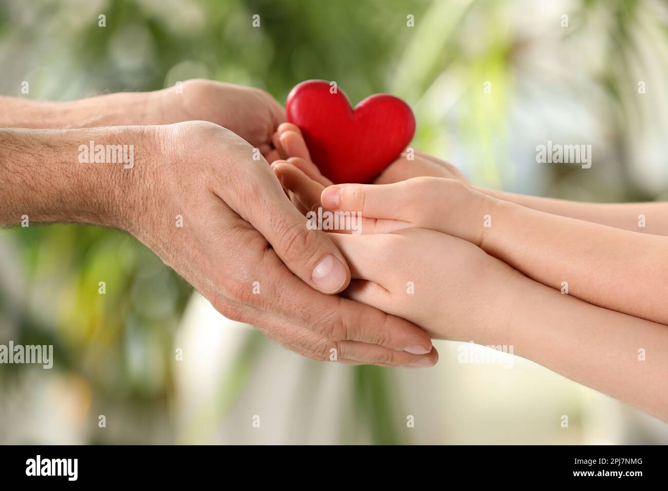 Parents and kid holding red heart in hands on blurred green background ...