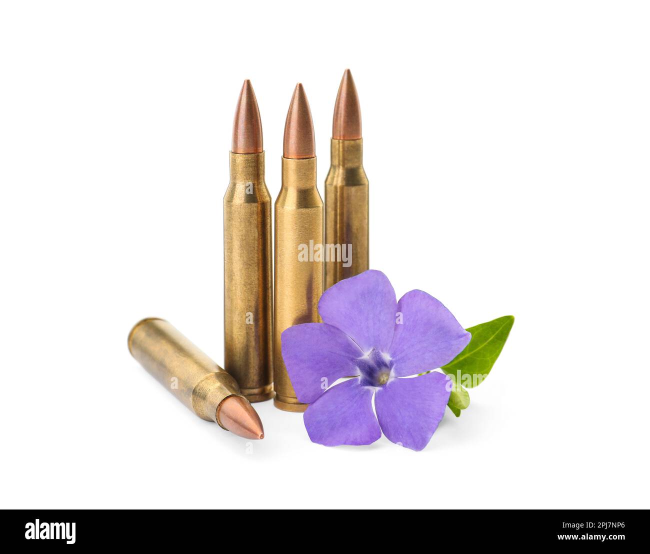 Bullets and beautiful flower on white background. Peace instead of war ...