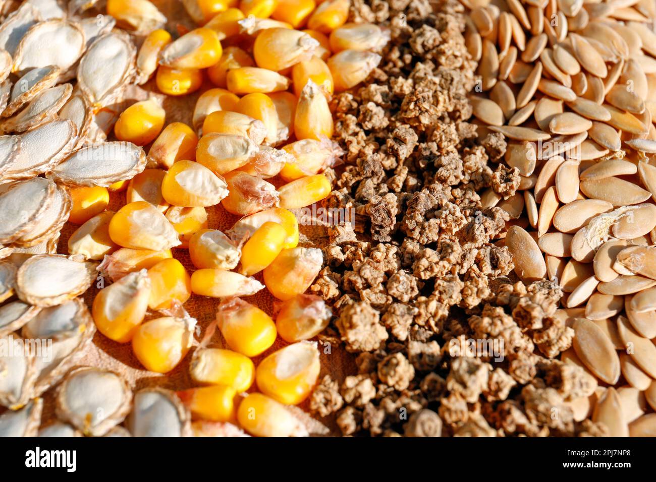 Different vegetable seeds as background, closeup view Stock Photo - Alamy