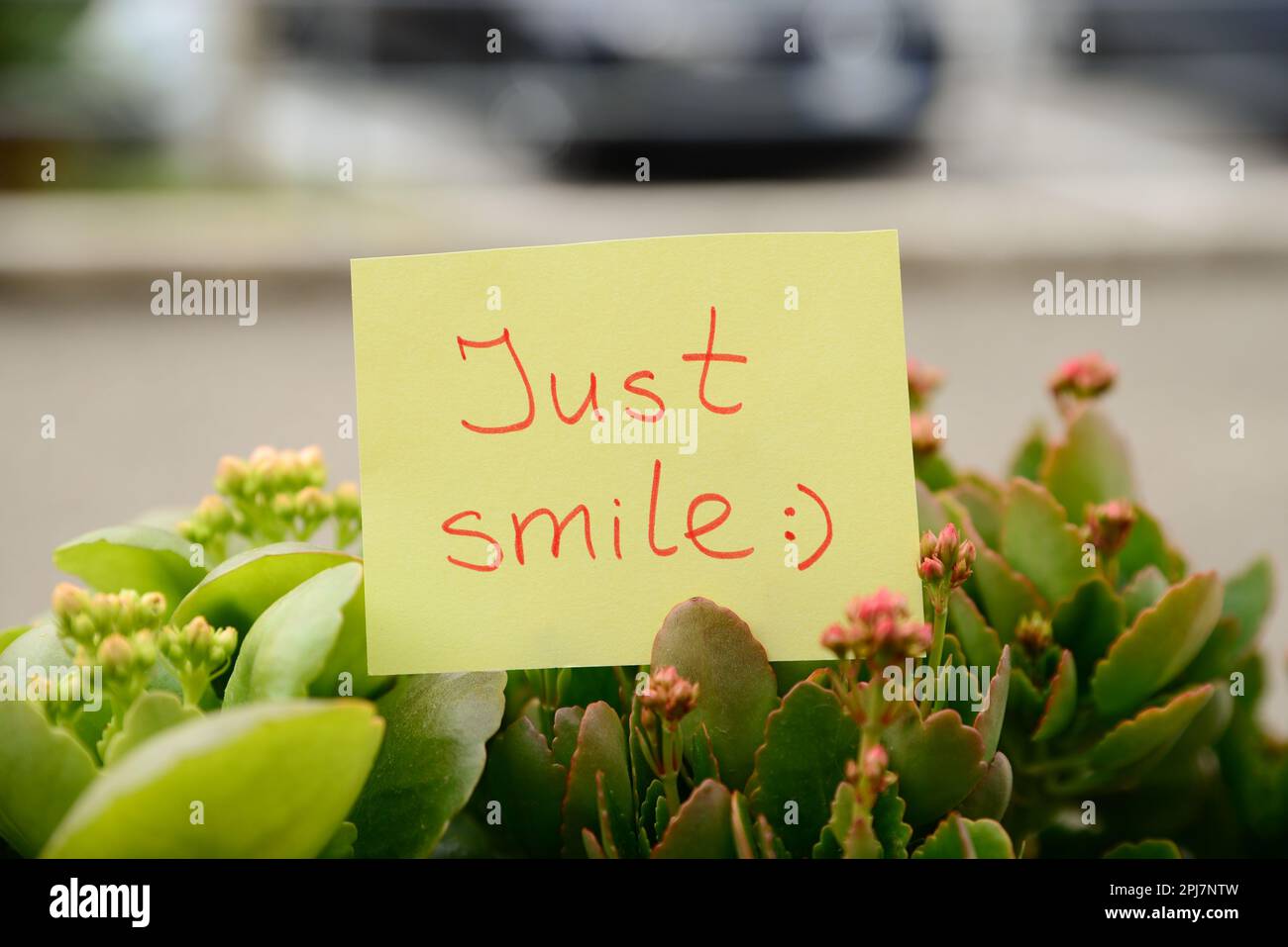 Note with handwritten text Just smile among beautiful plants against ...