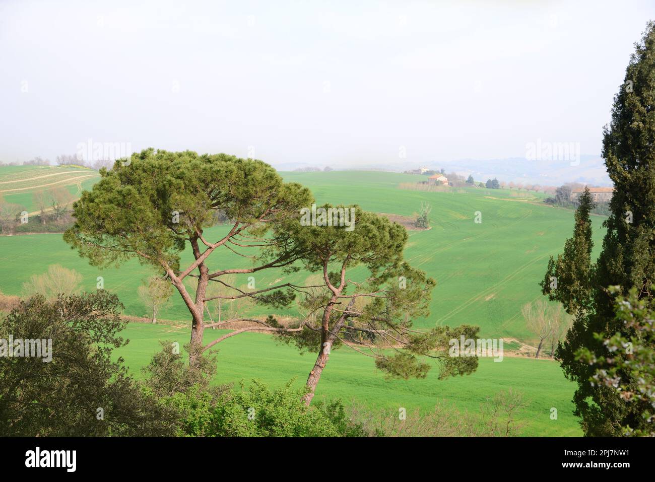 Picturesque shrubbery hi-res stock photography and images - Alamy