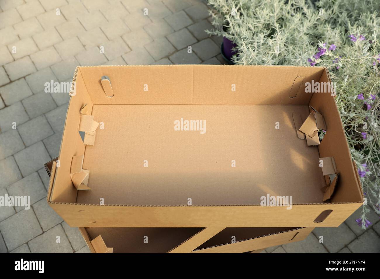 Stack of empty cardboard boxes in garden center, above view Stock Photo ...