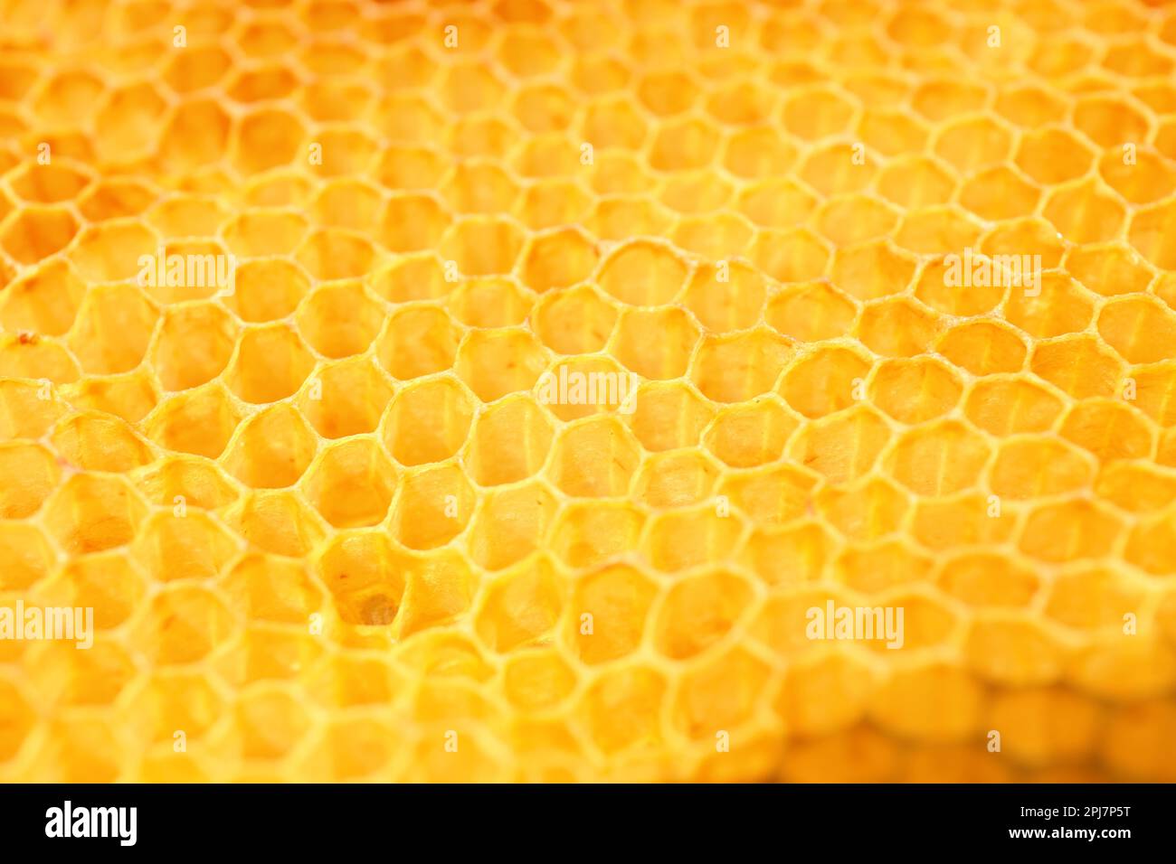 Texture of empty honeycomb as background, closeup view Stock Photo - Alamy