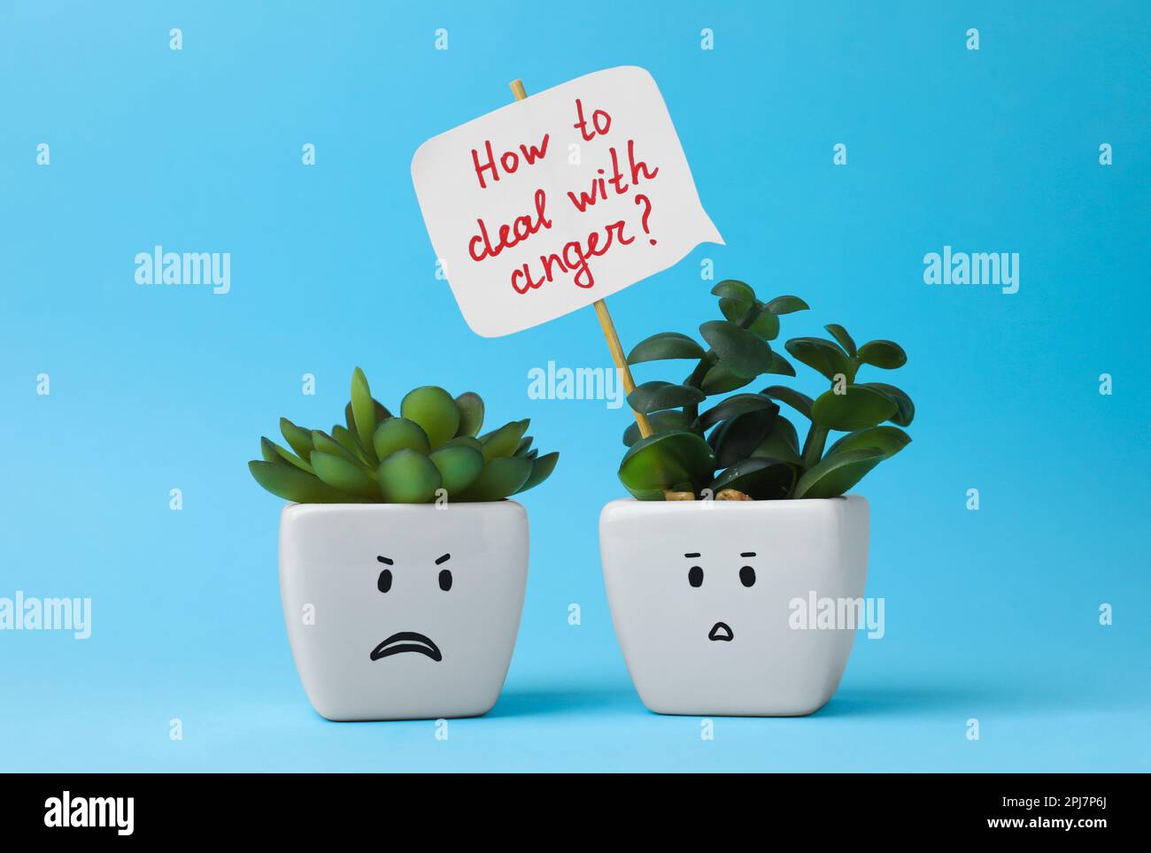 Potted houseplants with emotional faces and speech bubble saying How To ...