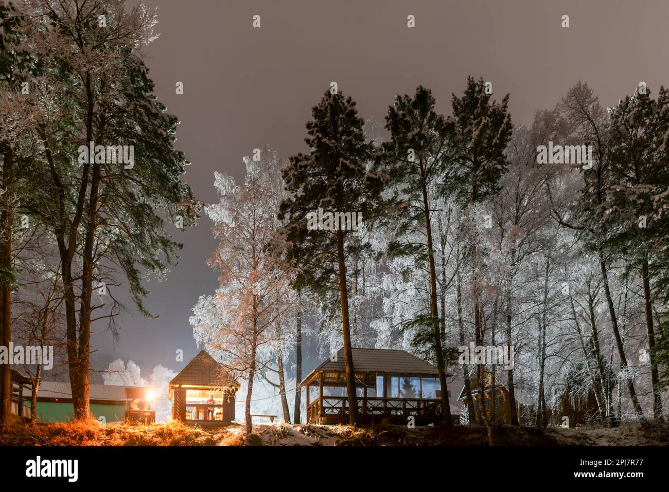 Birch trees on glacier hi-res stock photography and images - Alamy