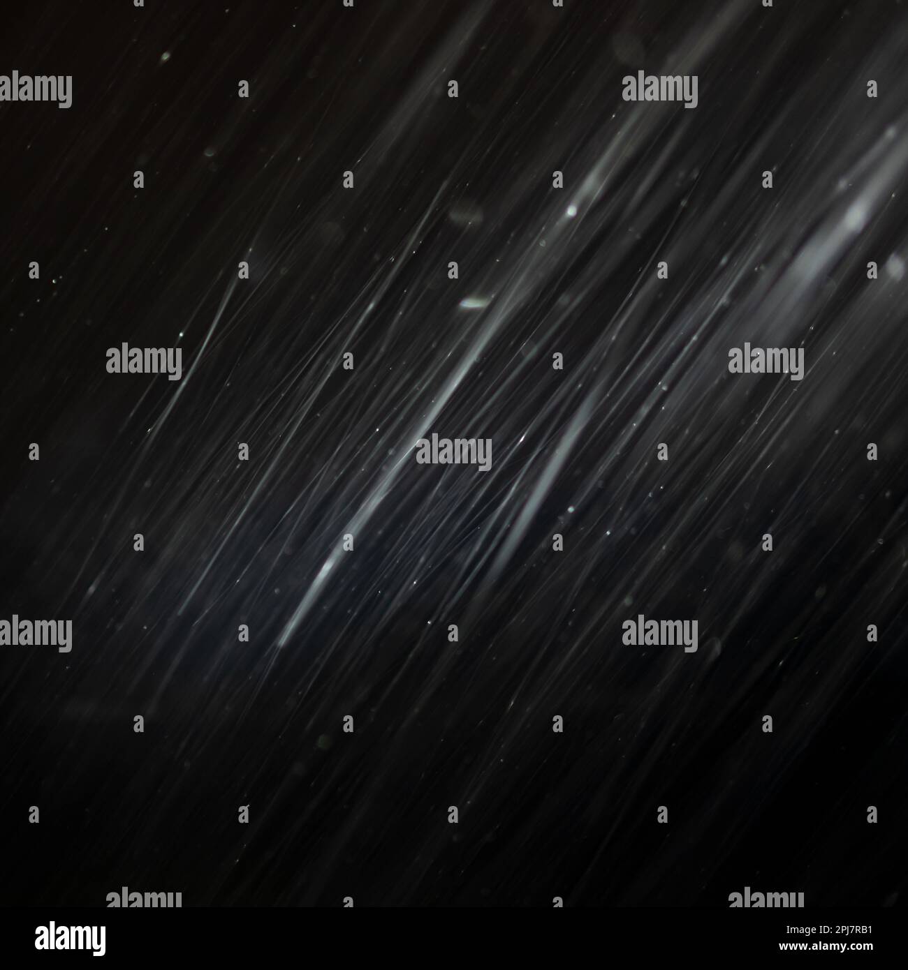 Falling white snow in stripes at night in the dark in a beam of light ...