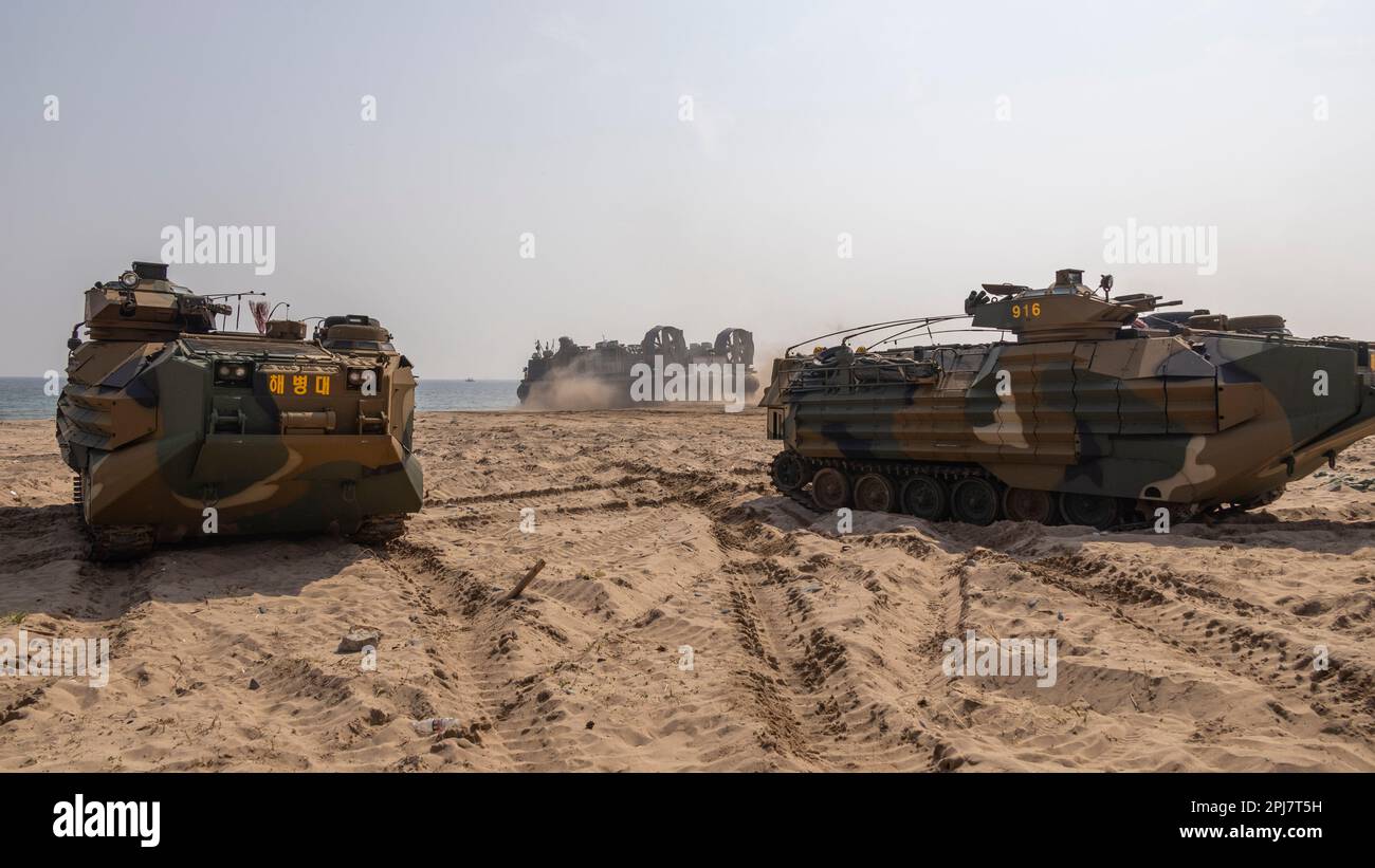 HWAJIN-RI BEACH, Republic of Korea (March 29, 2023) – U.S. Navy Landing ...