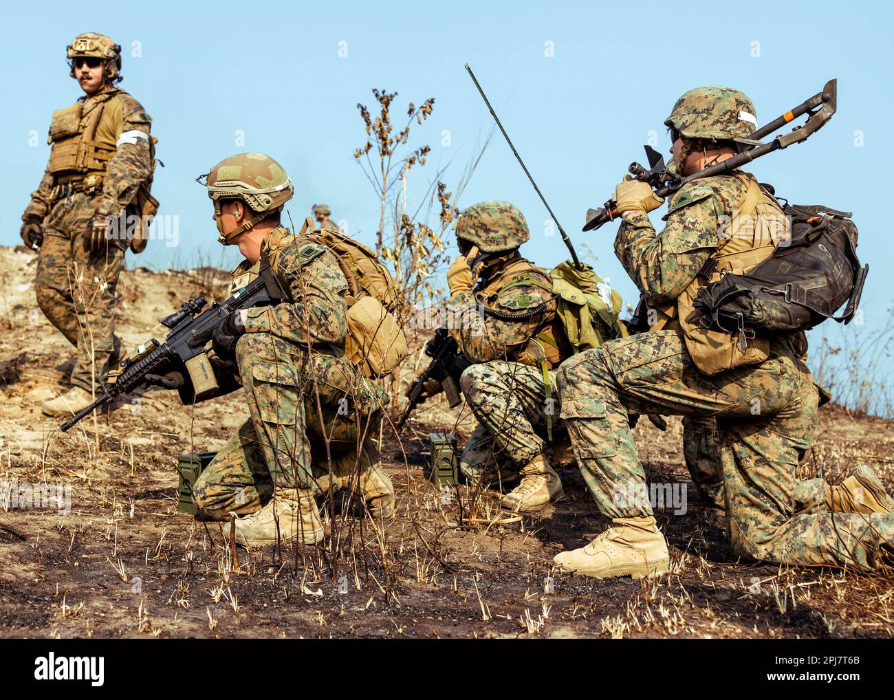 U.S. Marines with Marine Medium Tiltrotor Squadron (VMM) 362 (Rein ...