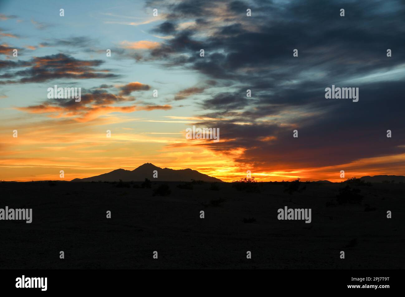 Army of 2030 hi-res stock photography and images - Alamy