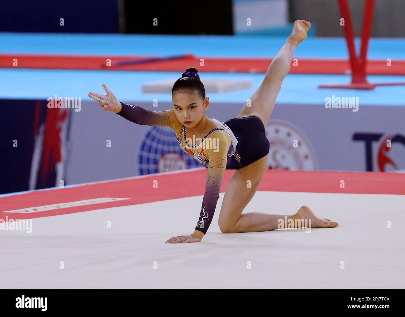 Jiang shuxuan hi-res stock photography and images - Alamy