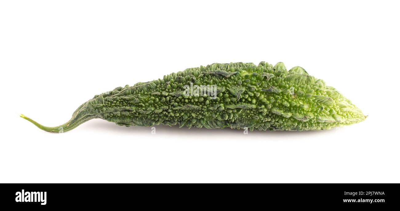 Green Bitter Gourd Melon Isolated on a White Background Stock Photo - Alamy