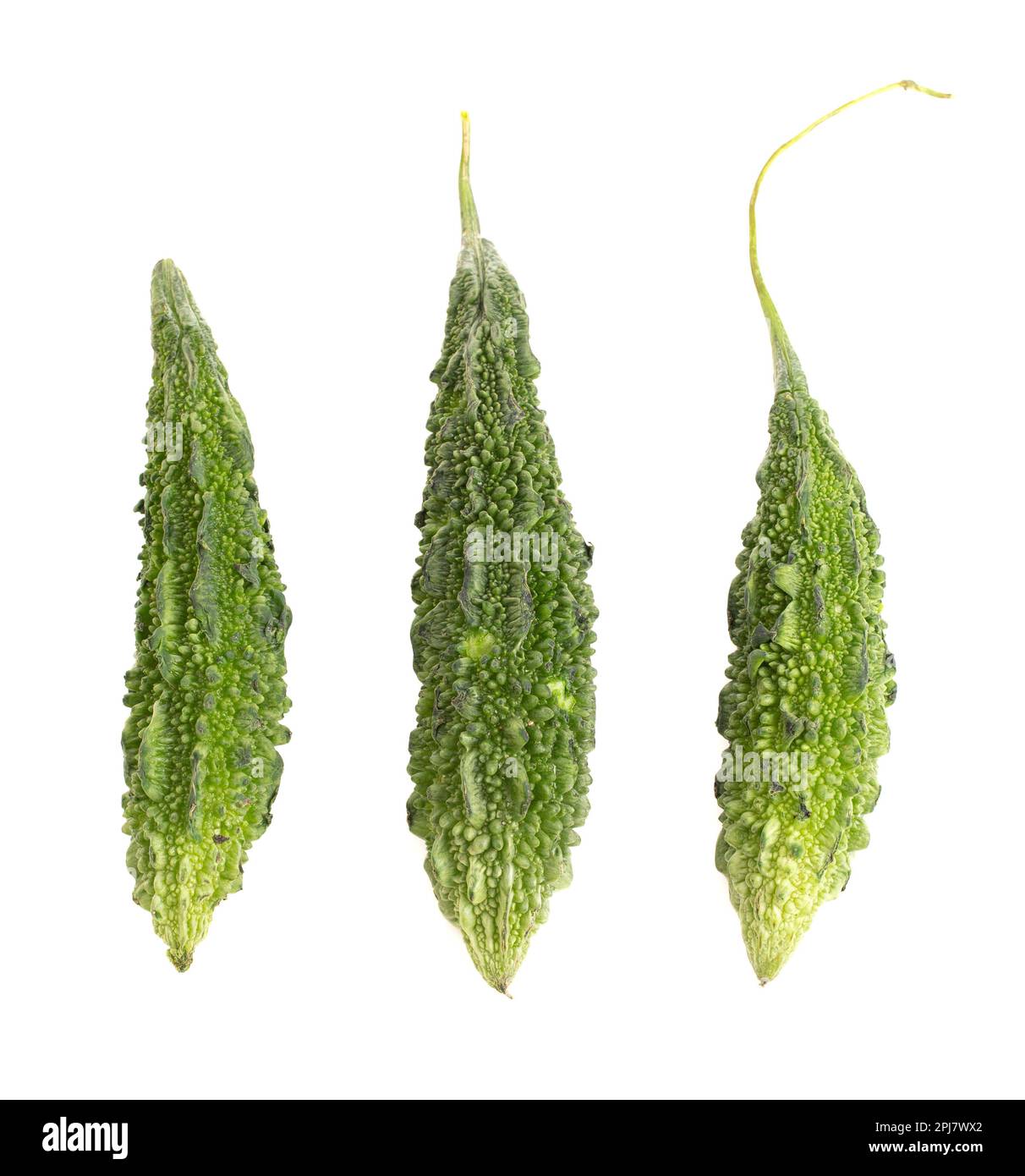 Green Bitter Gourd Melon Isolated on a White Background Stock Photo - Alamy