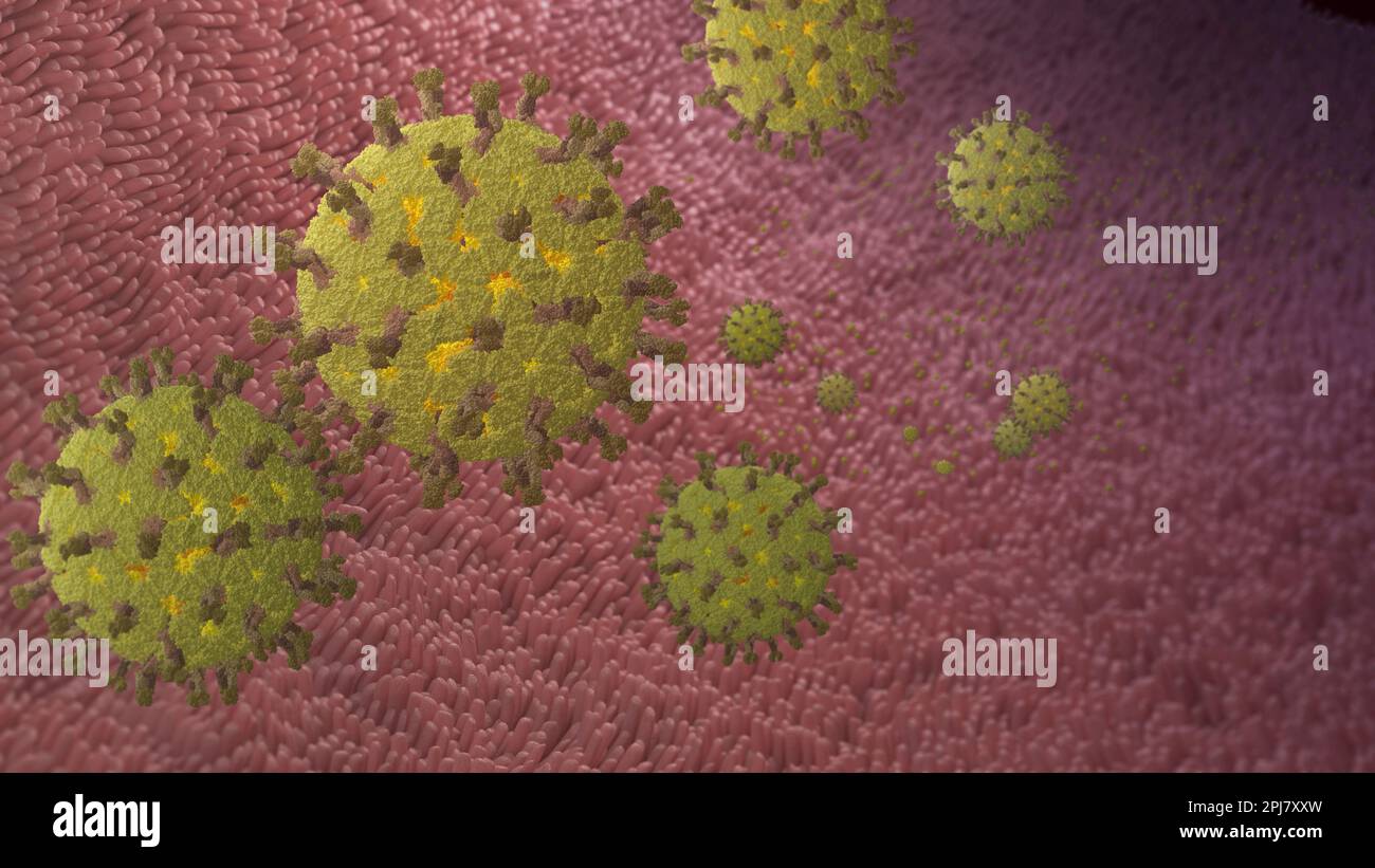 Rotavirus structure, illustration Stock Photo - Alamy