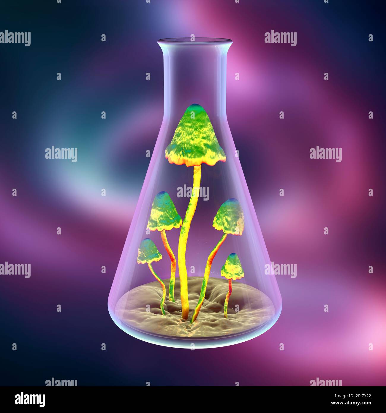 Mushrooms growing in laboratory, conceptual illustration Stock Photo ...