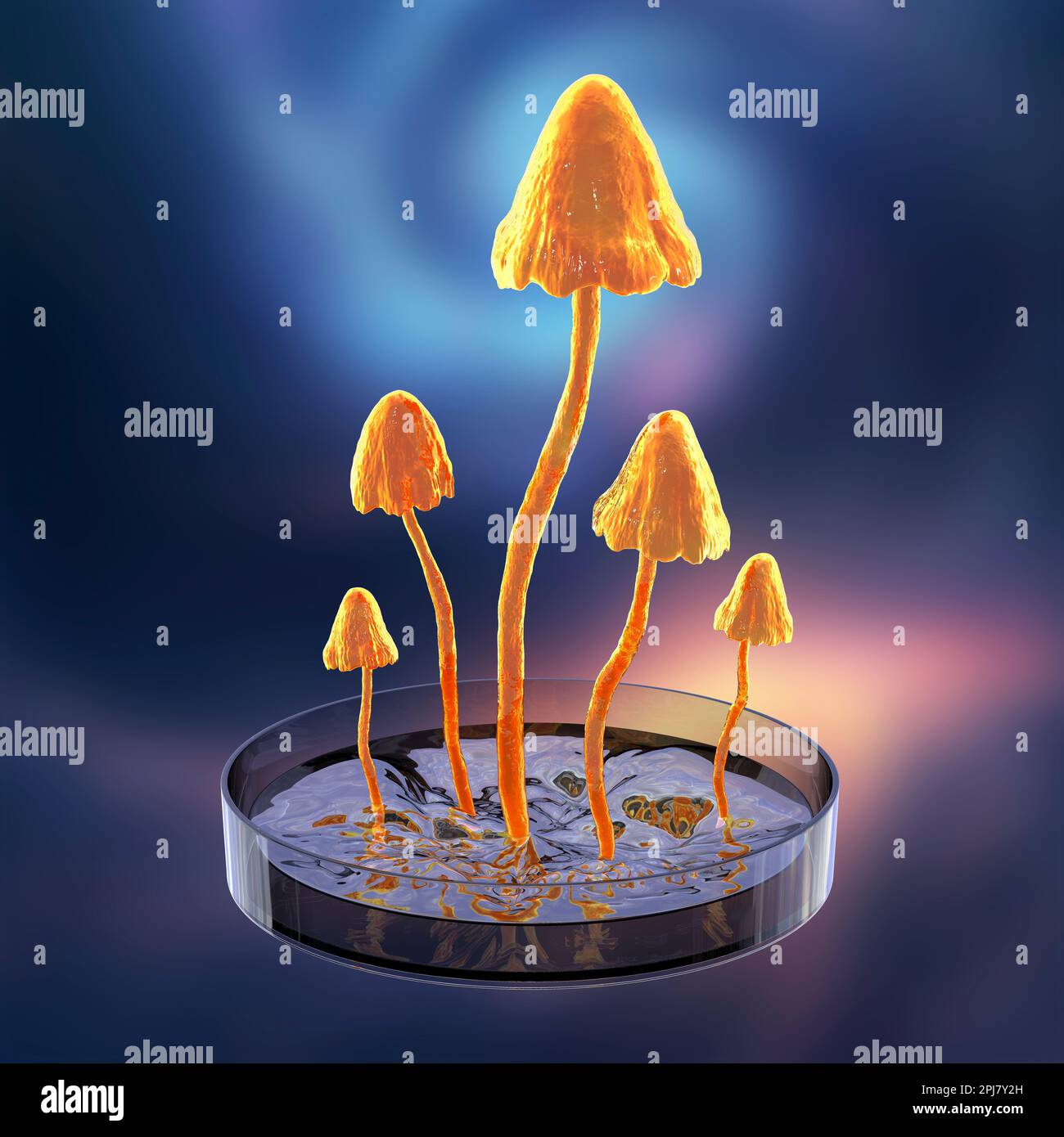 Mushrooms growing in laboratory, conceptual illustration Stock Photo ...