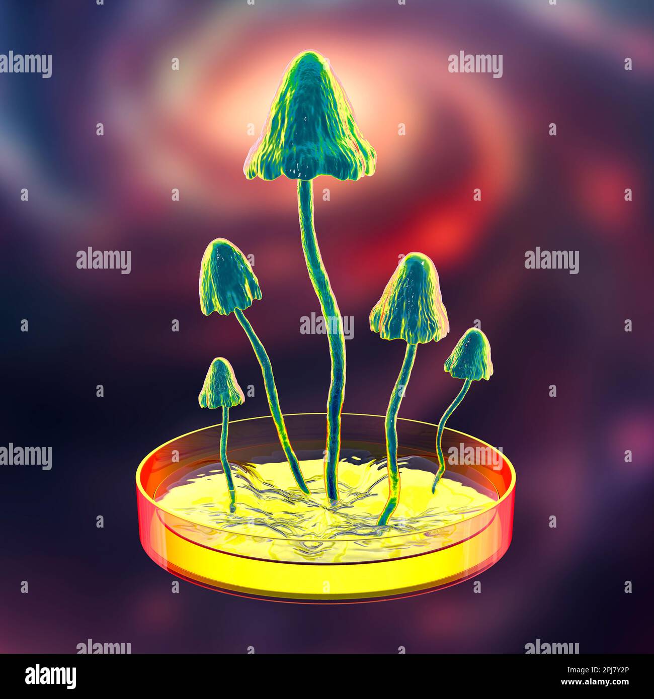 Mushrooms growing in laboratory, conceptual illustration Stock Photo ...