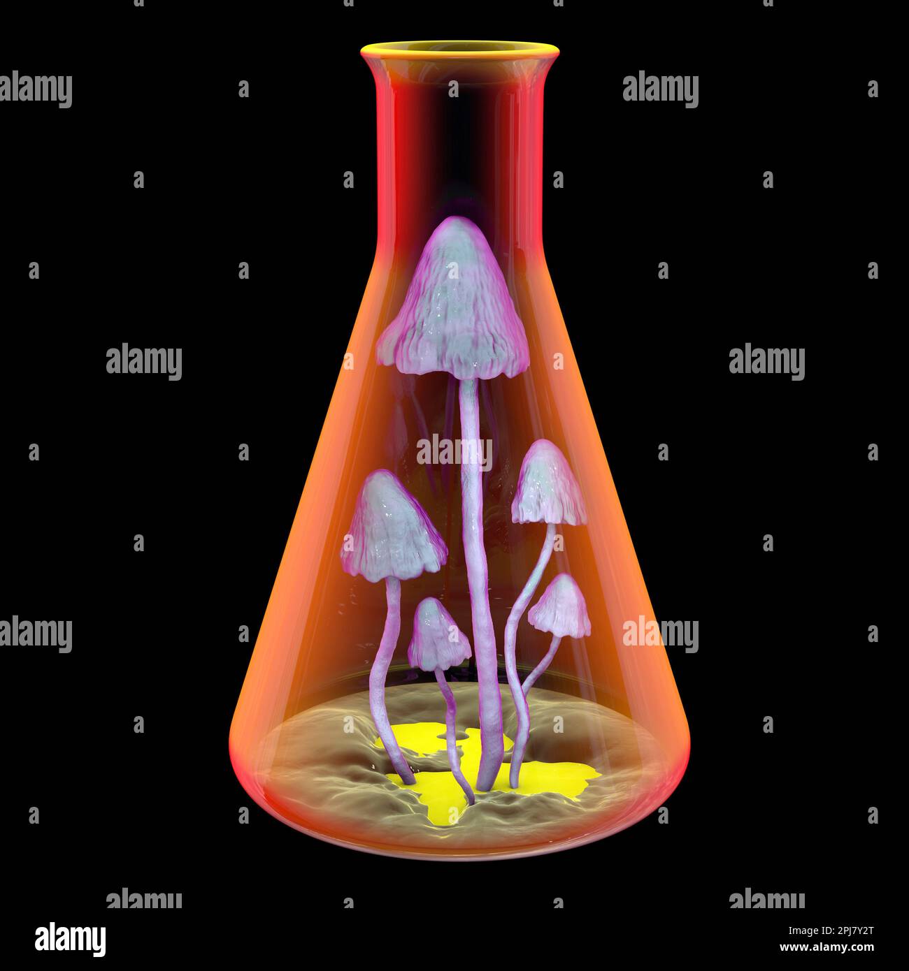 Mushrooms growing in laboratory, conceptual illustration Stock Photo ...