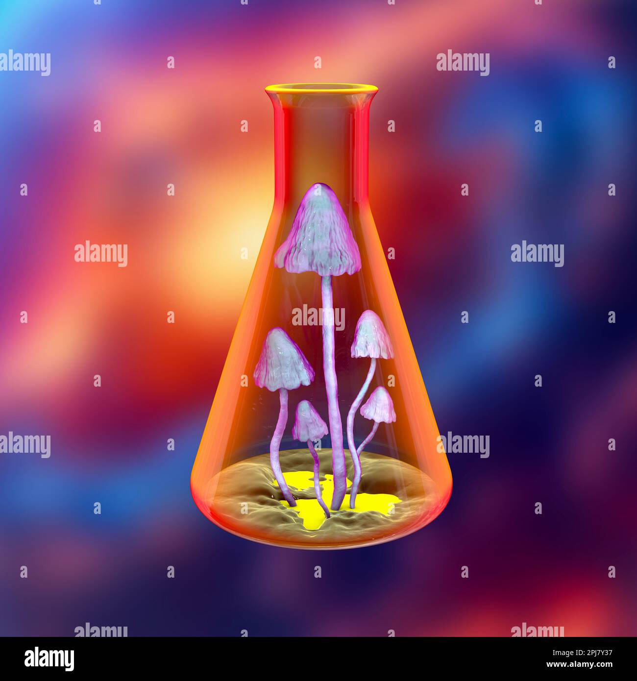 Mushrooms growing in laboratory, conceptual illustration Stock Photo ...