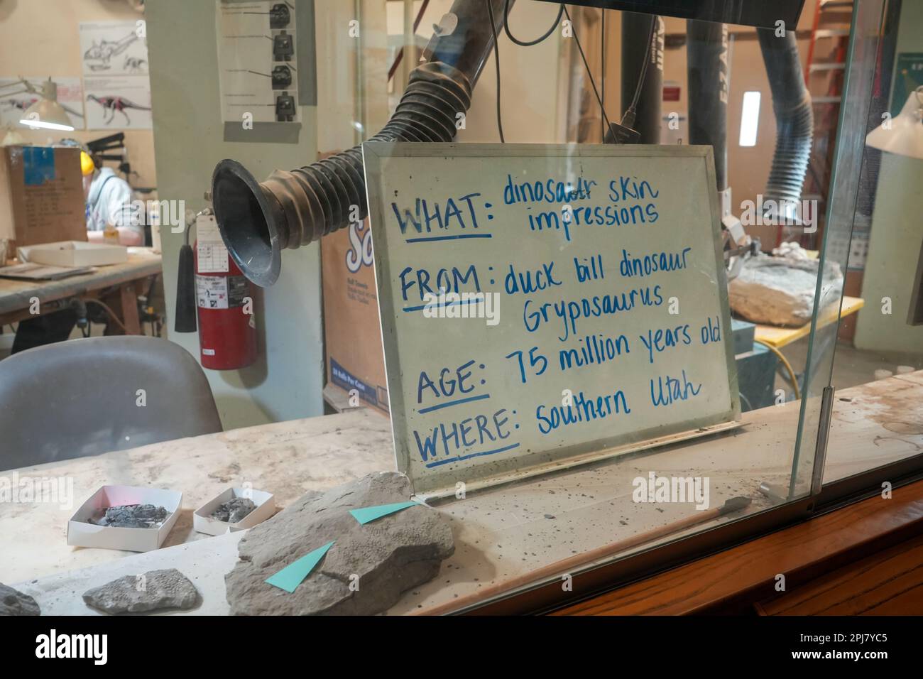 Denver, Colorado, United States - 3.22.2023: Denver Museum of Nature ...