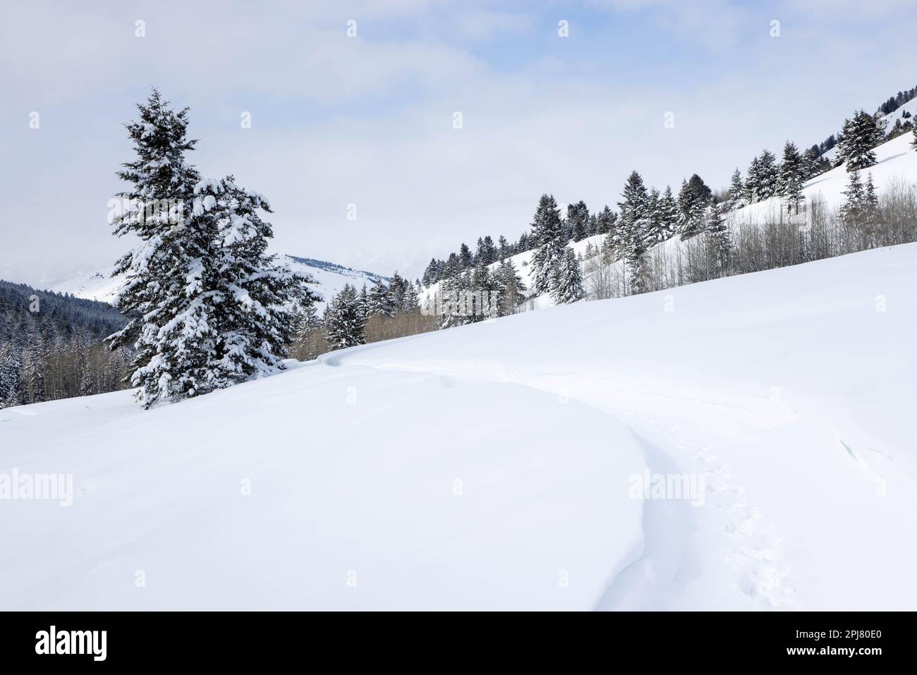 The Sidewalk Trail in the Cache Creek Trail System winding through ...