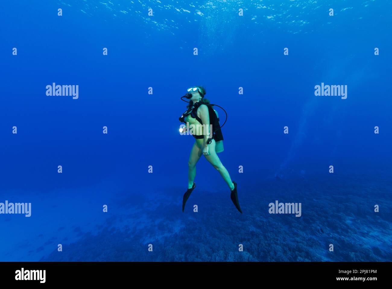 A diver (MR) pictured in mid water, looking up and ascending over a ...