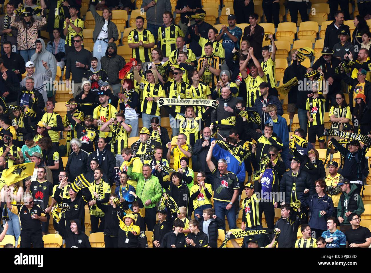 Phoenix fans during the A-League Men's soccer match between the ...