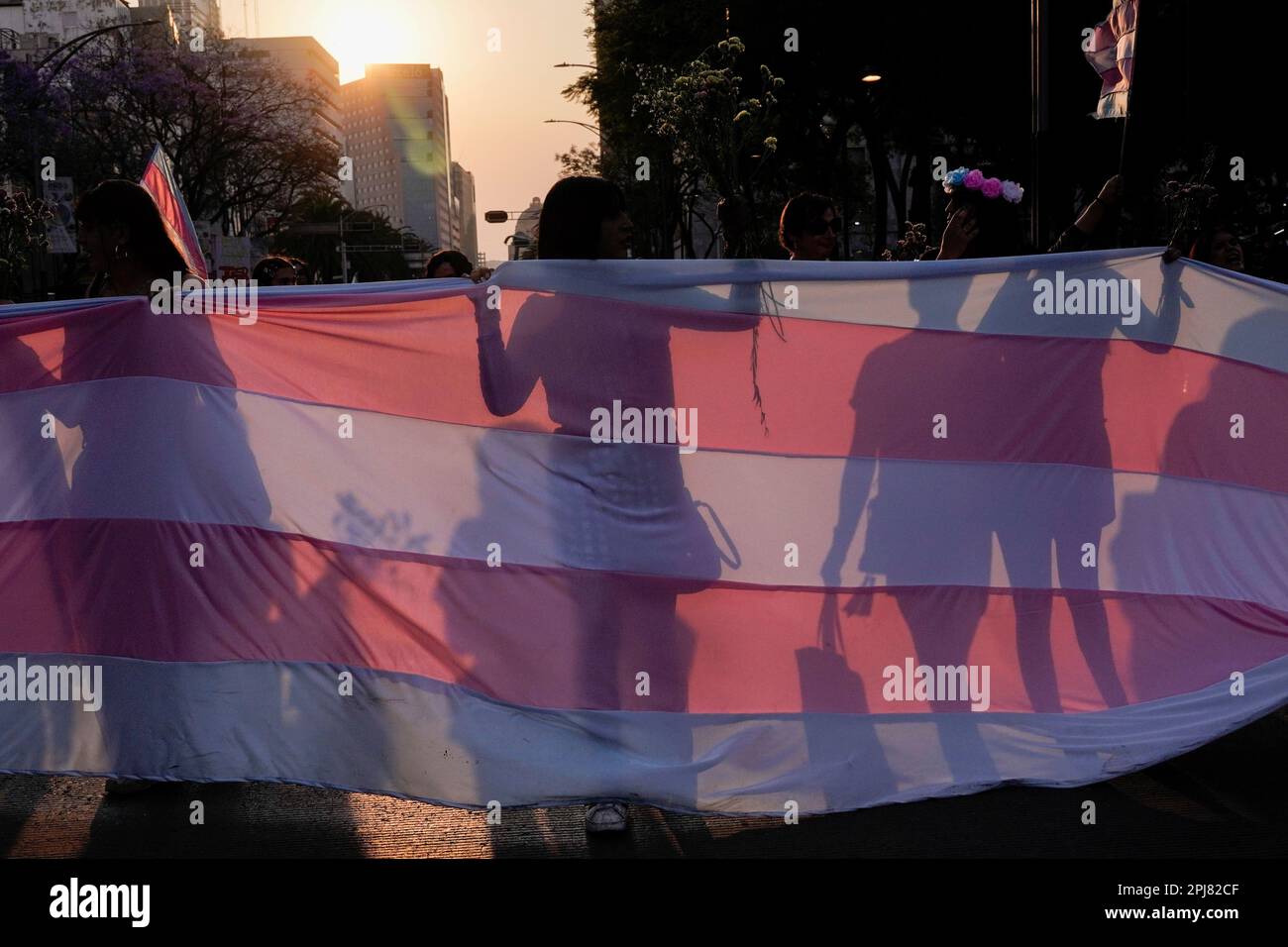 People, their shadows cast on a transgender flag, take part in a march ...