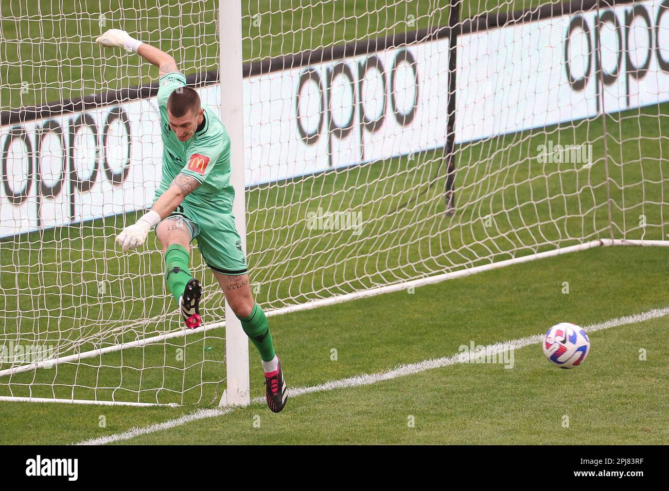 Phoenix's goal keeper Oli Sail during the A-League Men's soccer match ...