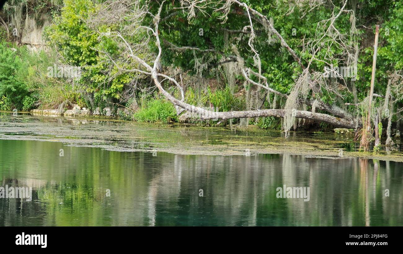 Meadow Lake, Texas is a small, rural community located in the ...