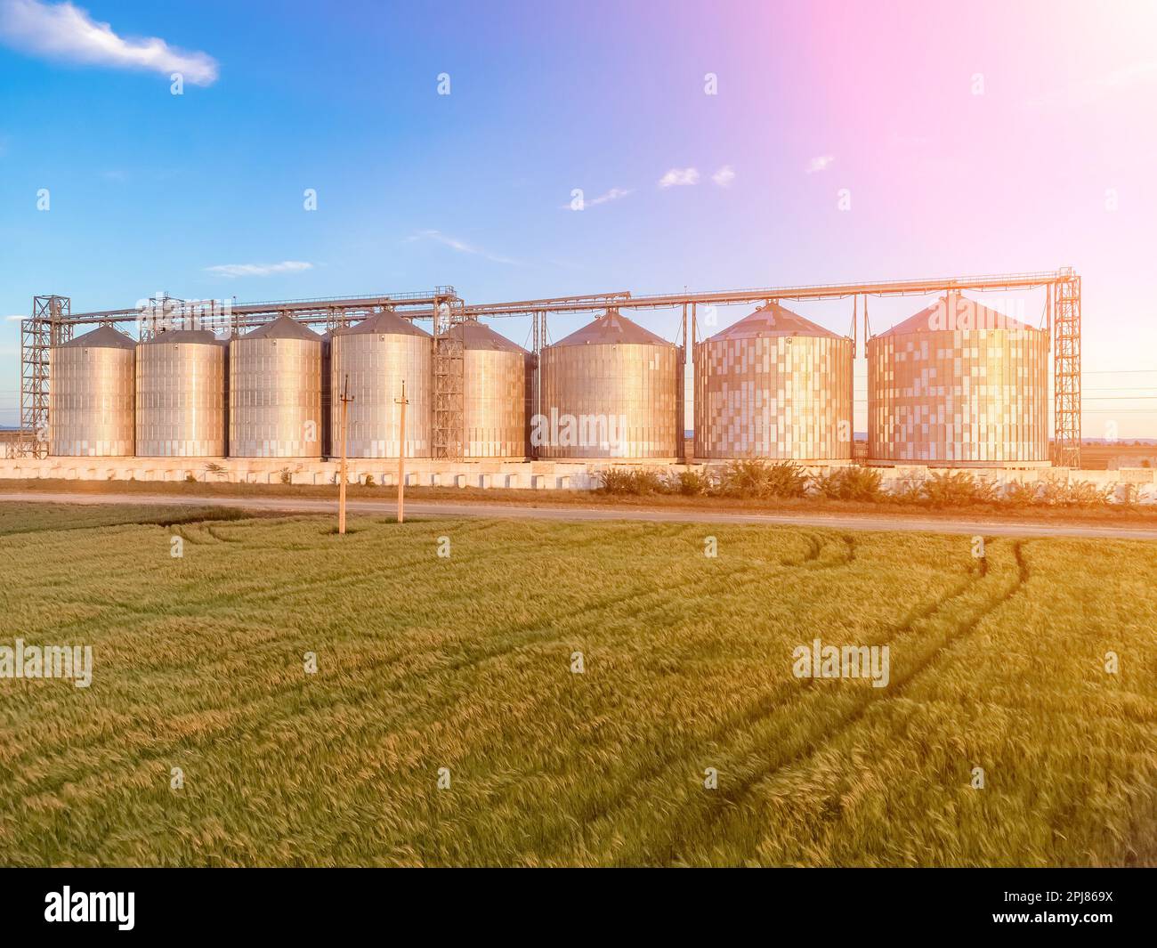 Grain silos on a green field background with warm sunset light. Grain ...