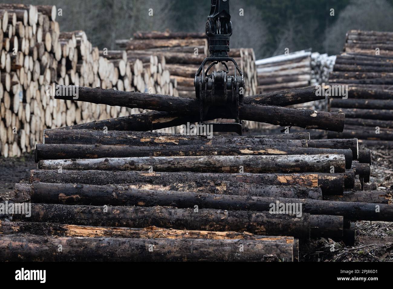 Five tree dam hi-res stock photography and images - Alamy