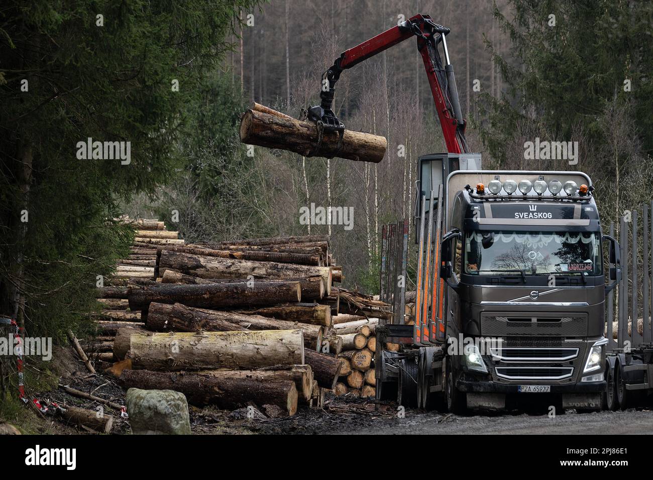 Tree hauled away hi-res stock photography and images - Alamy