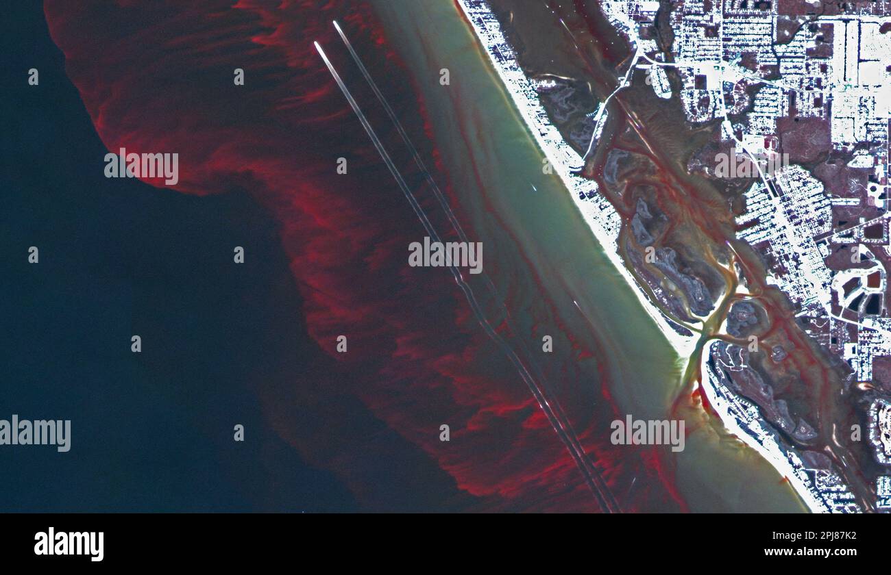Red tide harmful algae hi-res stock photography and images - Alamy