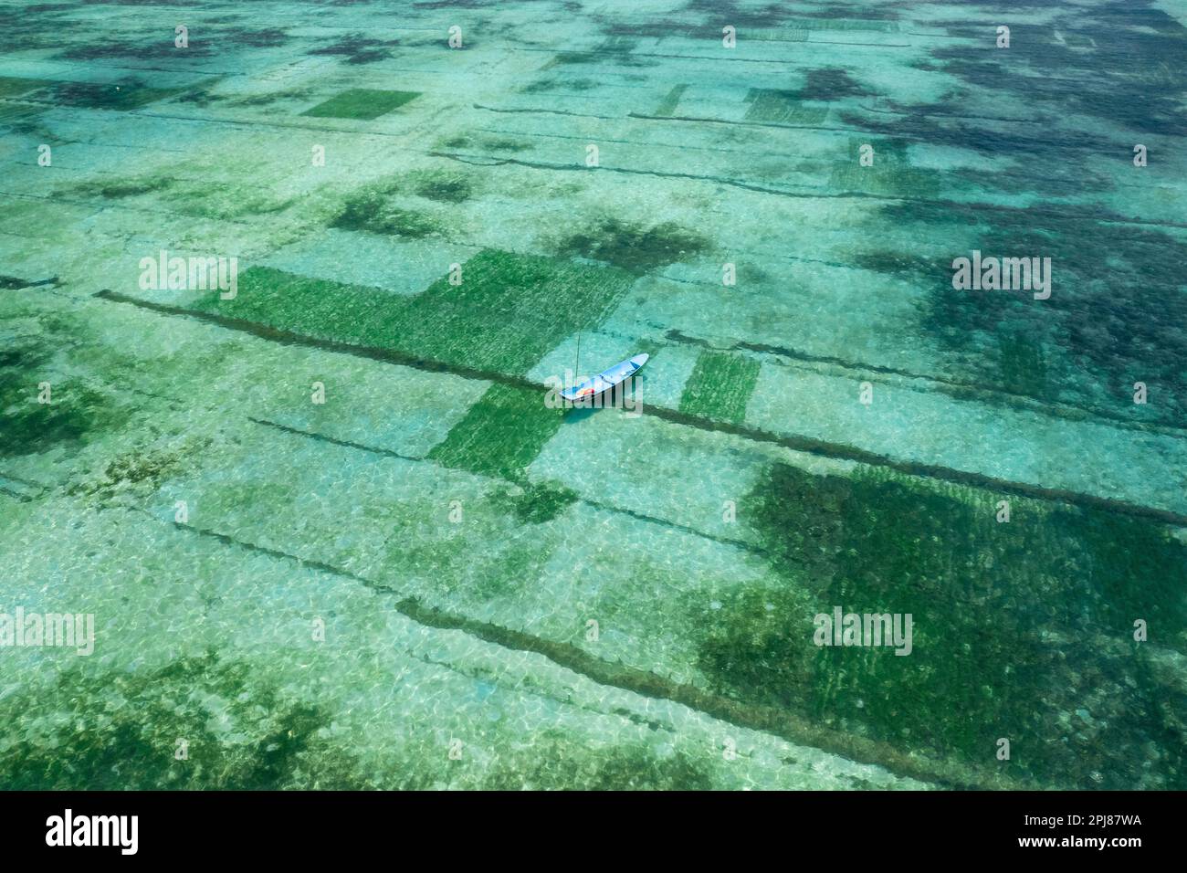 Aerial Drone Photo of Seaweed Farms in Nusa Lembongan Ceningan Bali ...