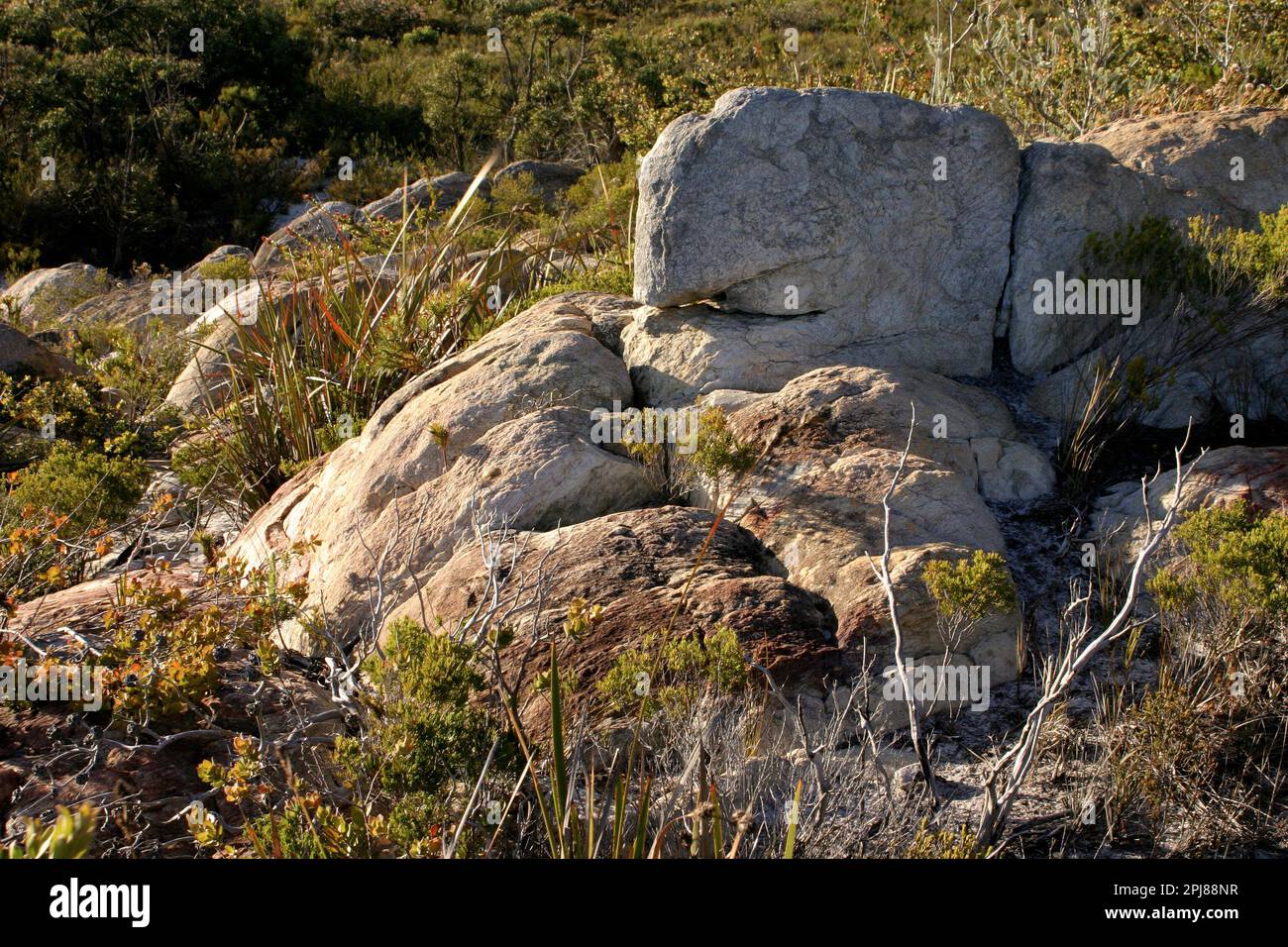 Granite rock formation landscape, Fitzgerald National Park, Southwest ...