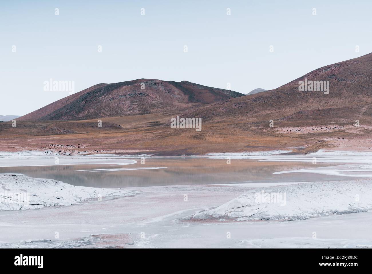 Piedras Rojas Red Rocks Lagoon in San Pedro de Atacama Chile Stock ...