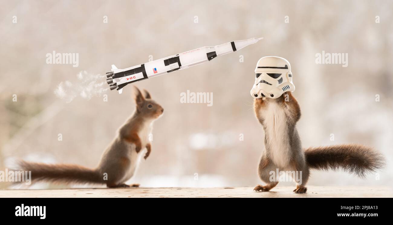 Funny Squirrels With Lightsabers