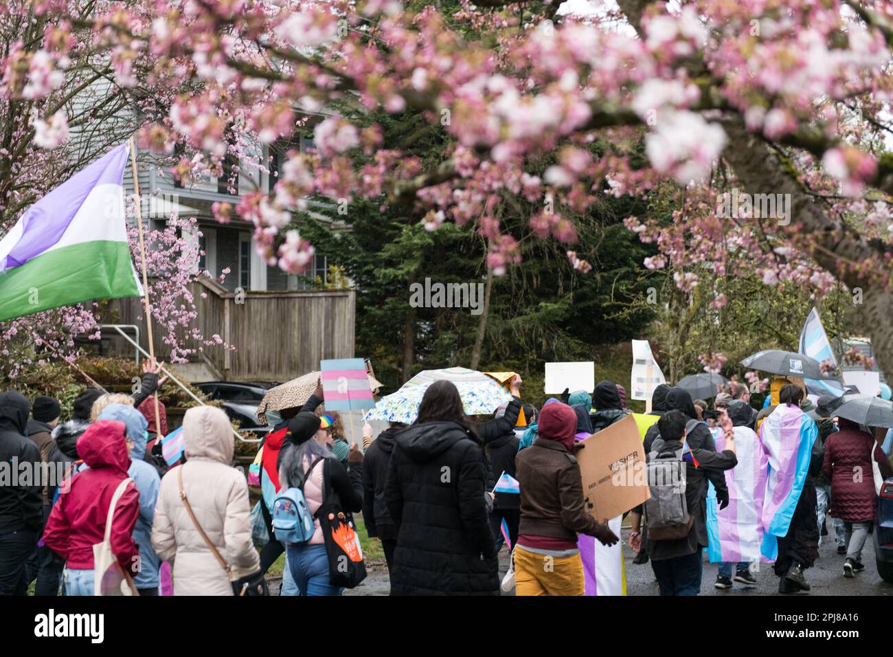 Seattle, USA. 31st Mar, 2023. International Transgender Day of ...